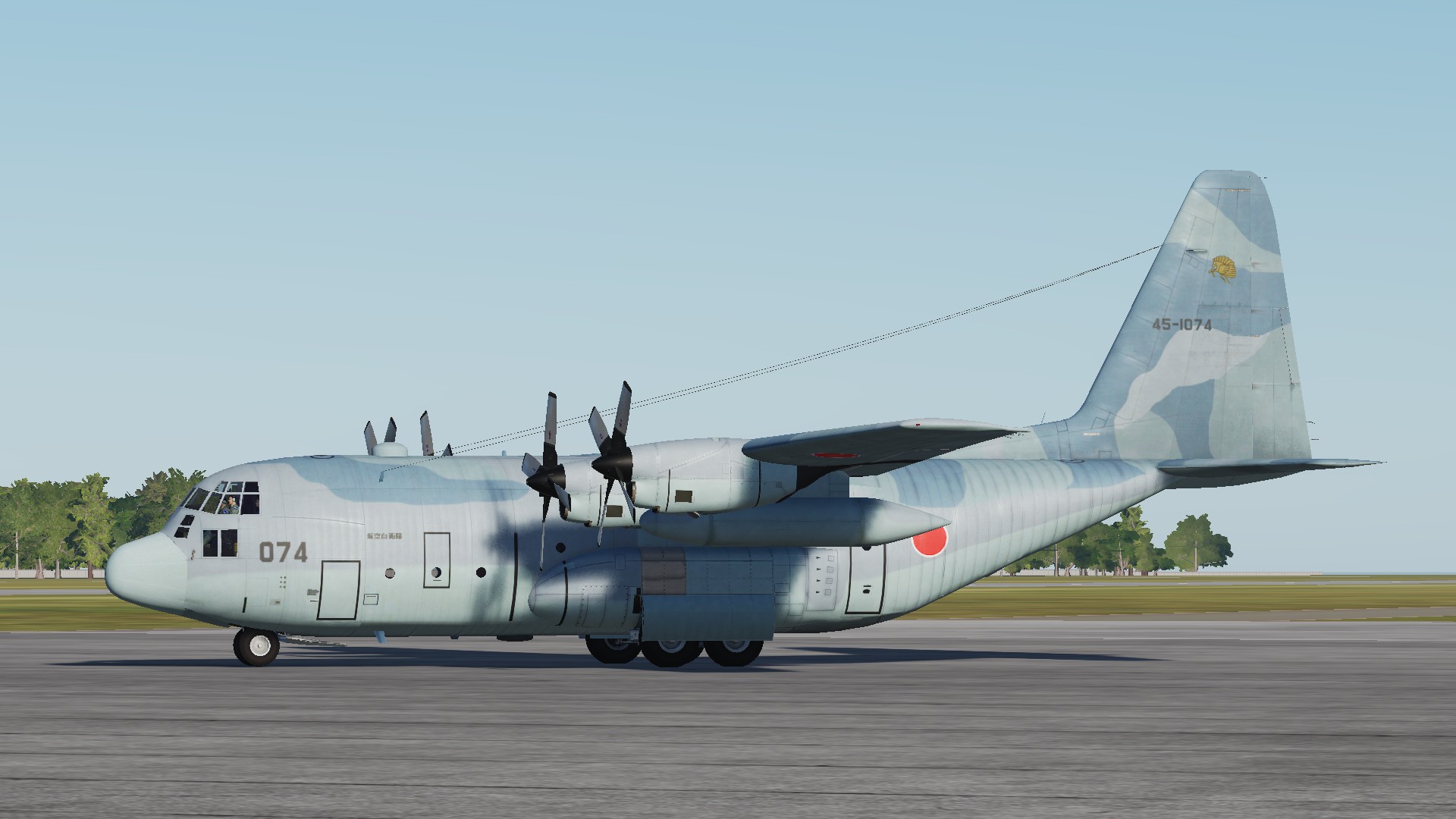 JASDF C-130H 401SQ C-2 Camouflage Pattern