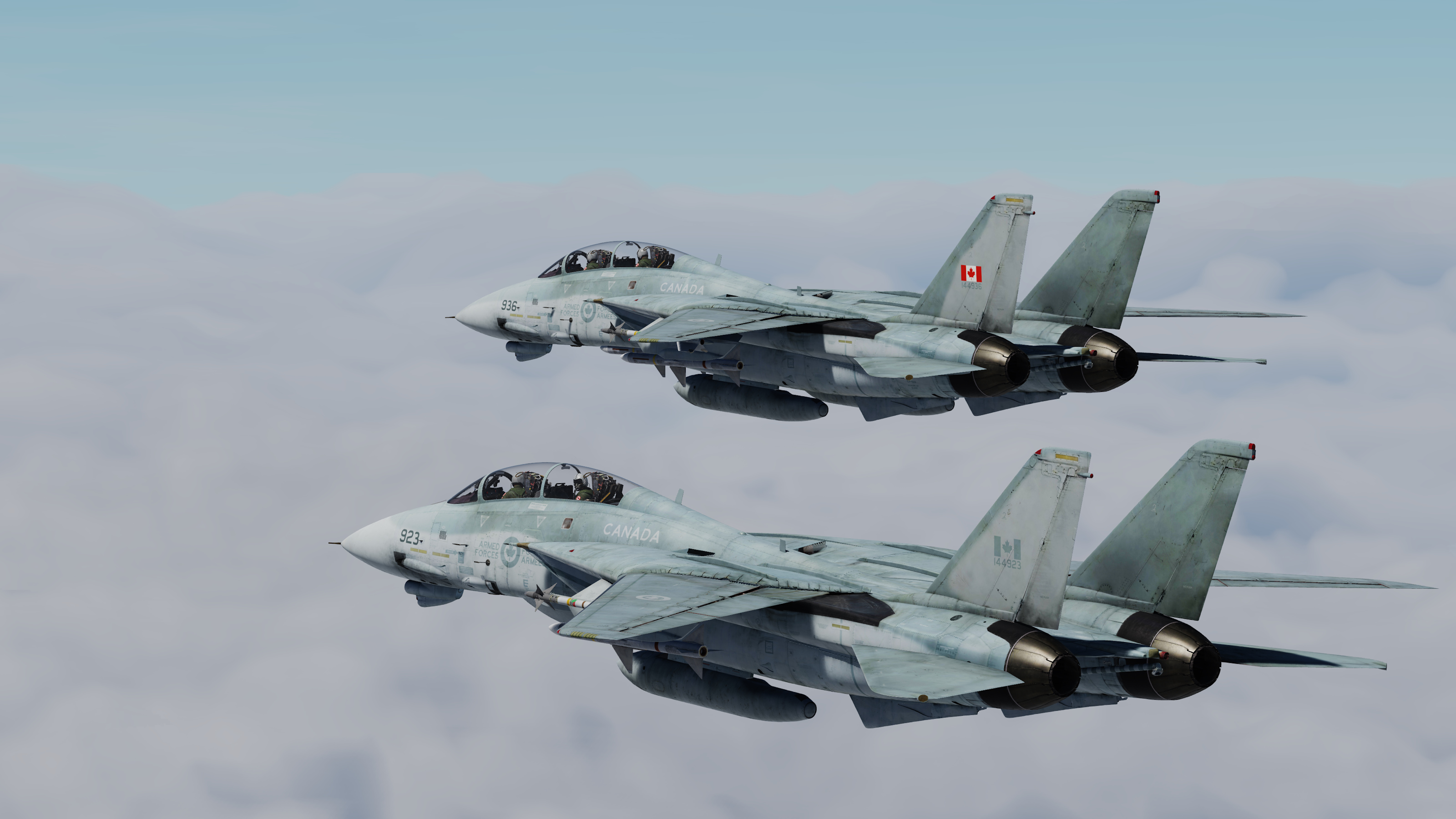 RCAF CF-14 Early Livery (Fictional) V1.4