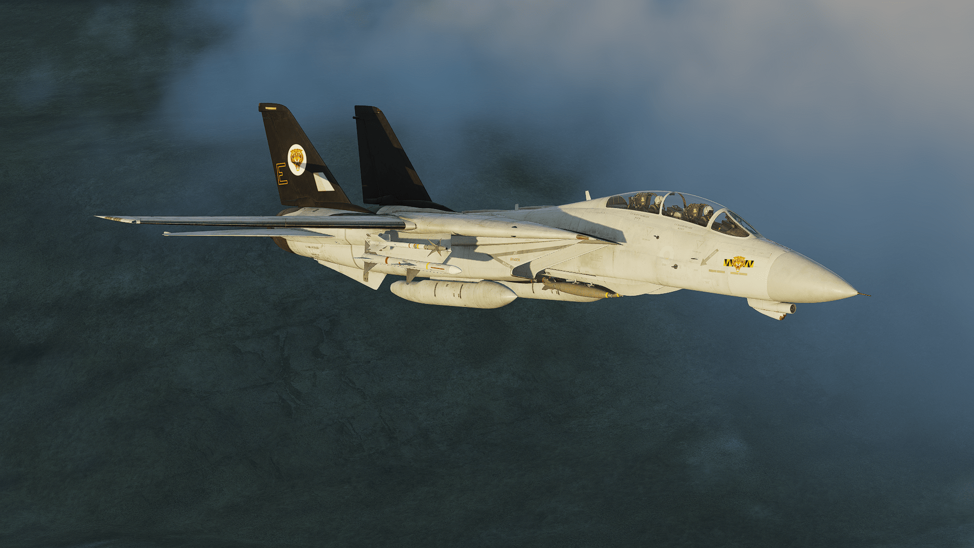 Royal Air Force No 74 Sqn Tomcat FGR.2 (F-14M) 1990s