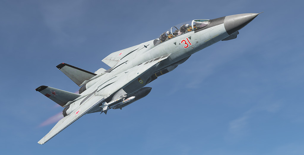 F-14B "MiG-31" Soviet Air Force