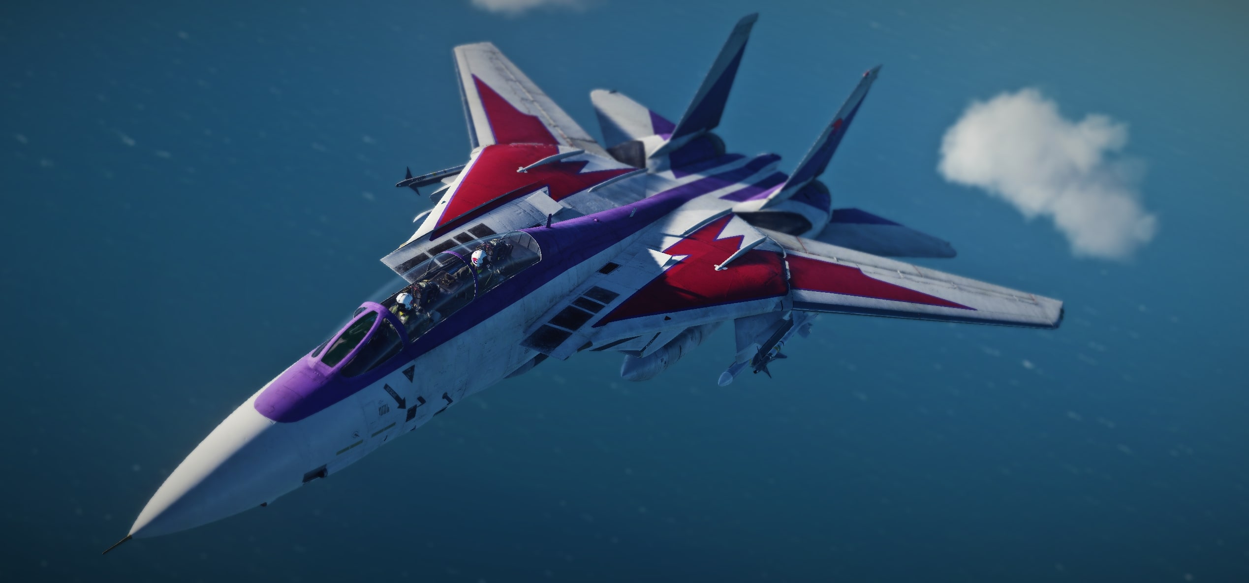 F- 14B - Ace Combat - Air Combat Scarface