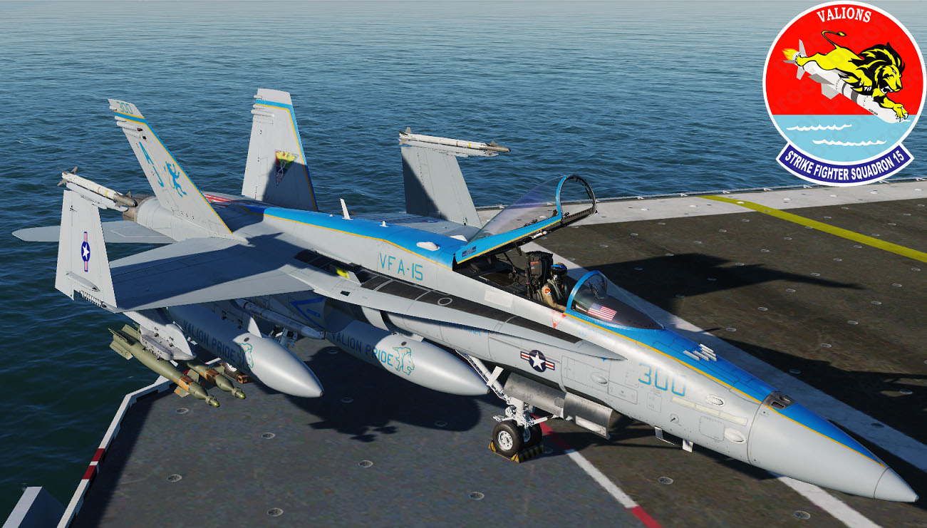 VFA-15 Valions CAG 2017.