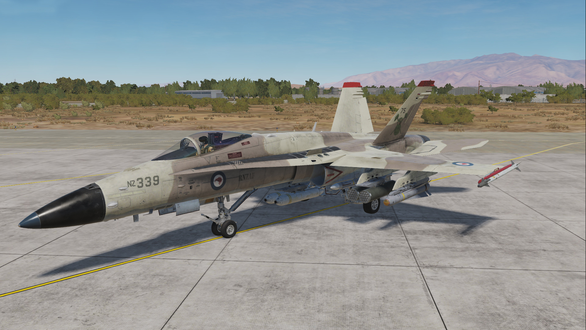 Fictional RNZAF (Royal New Zealand Airforce) F/A-18C - 75 Squadron