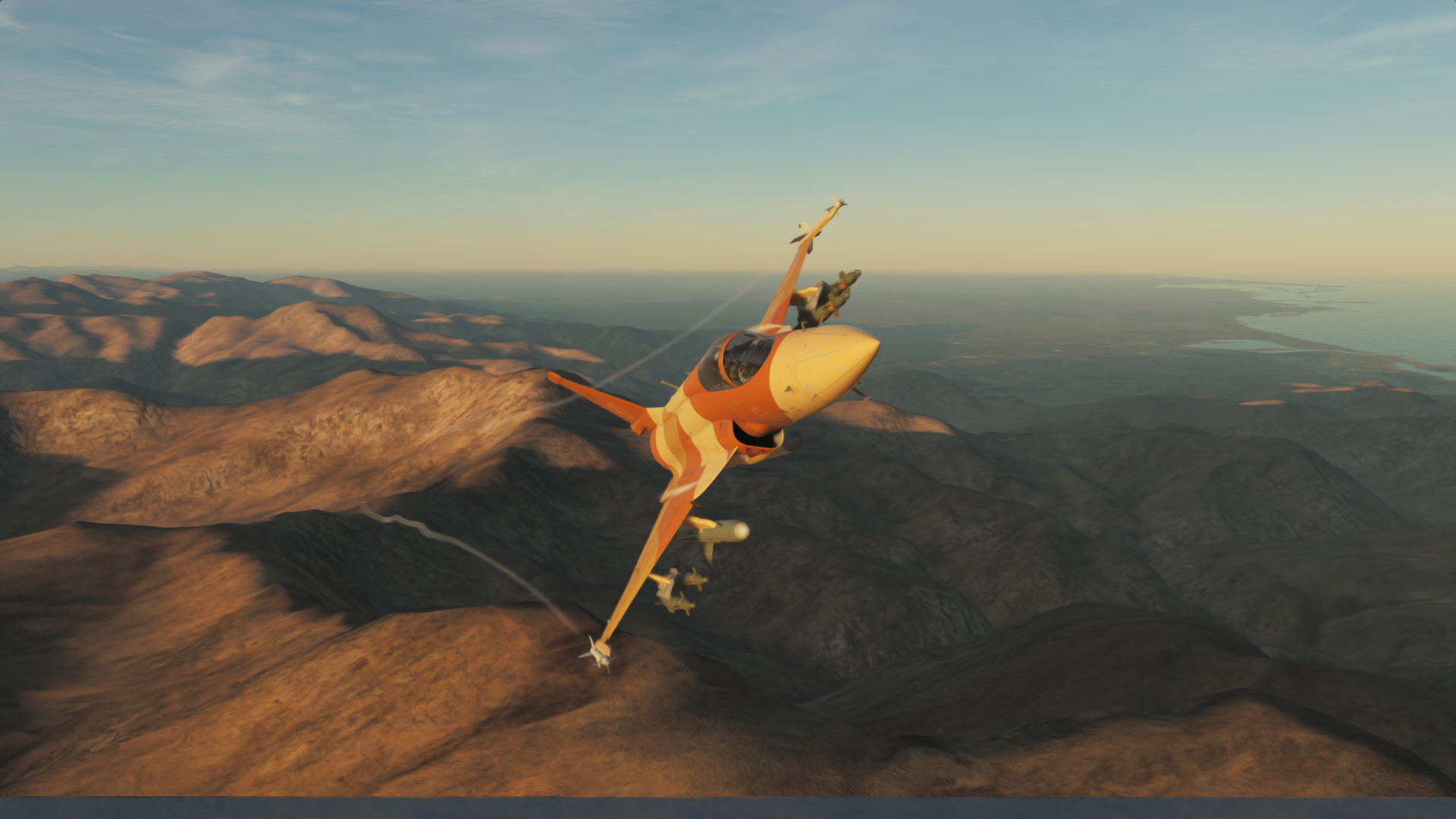 Desert Camo