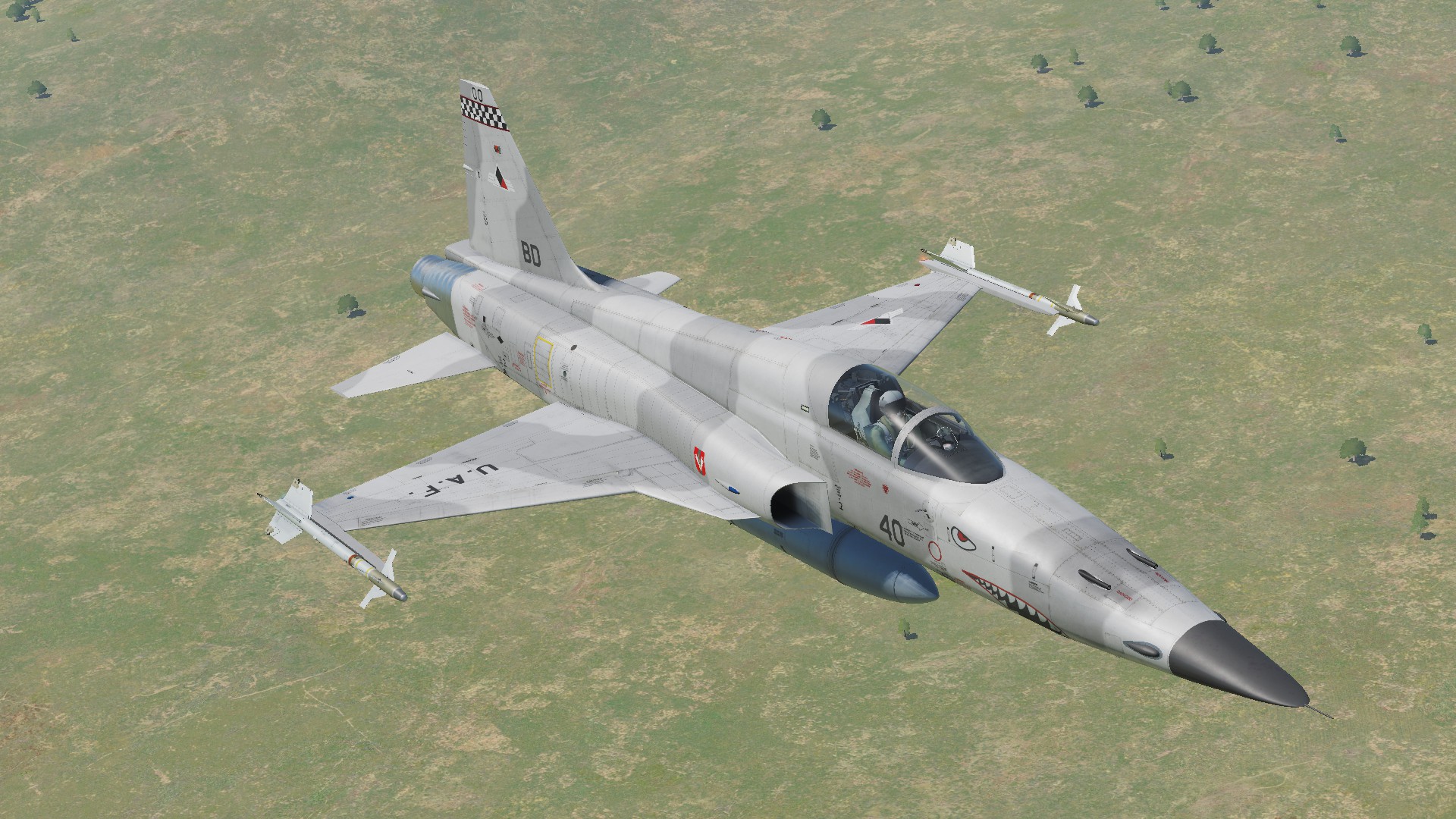 Ustio Air Force F-5 Tiger - Ace Combat (2nd FTS) Cpt: Daniel Siudek