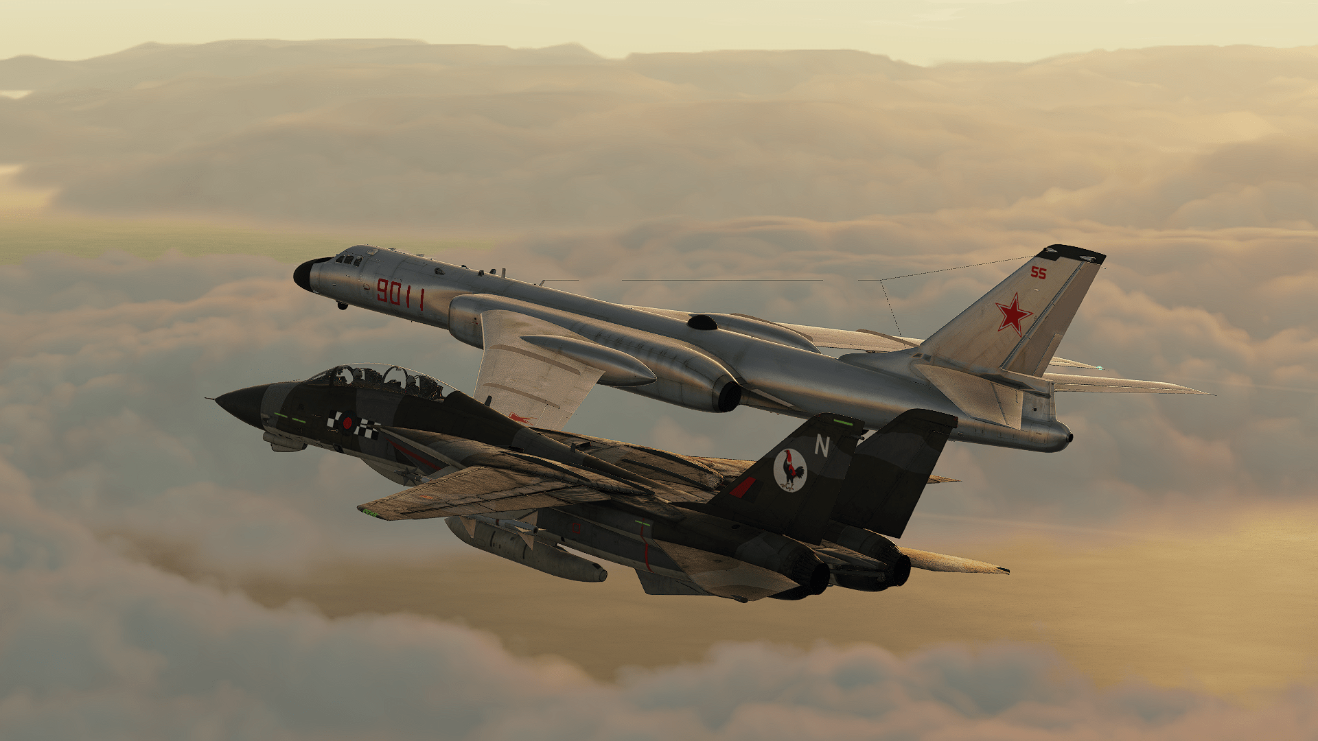 Royal Air Force Tomcat FGR.2 (F-14M) 1980s No 43 Sqn Camo