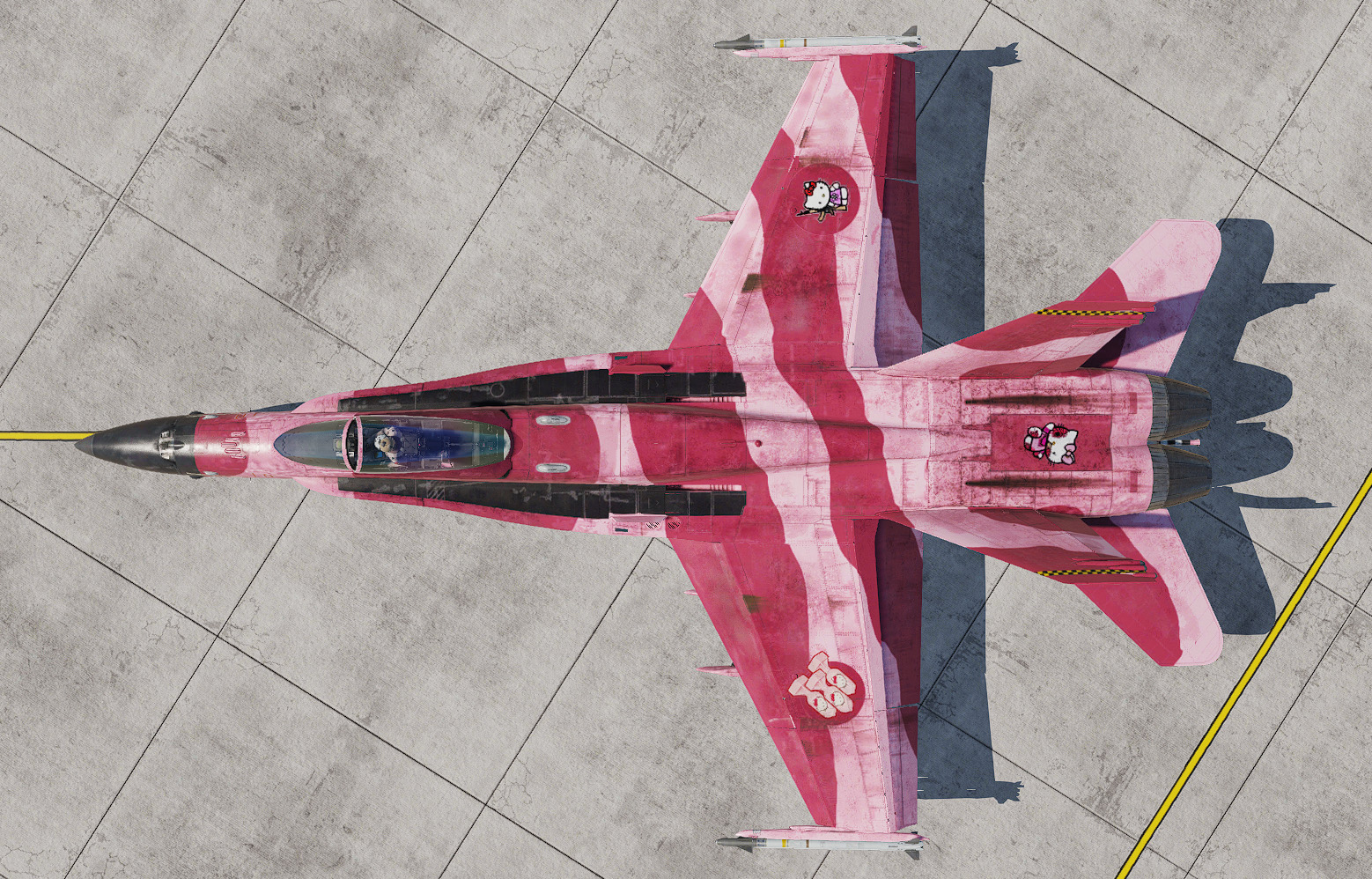 F/A-18C Hornet "War Kitty" camo