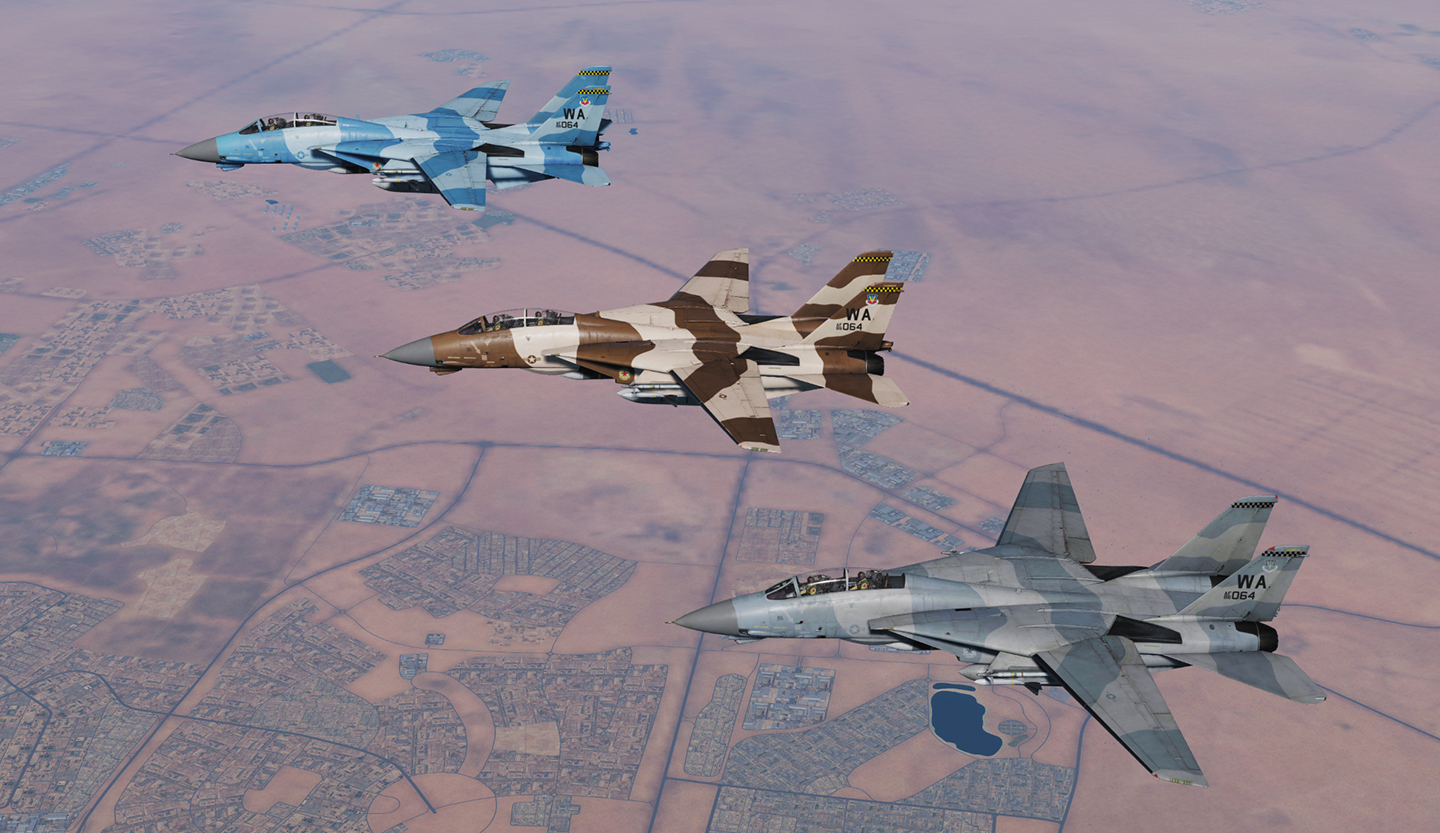 F-14B - 64th Aggressor Squadron 'LowVis'