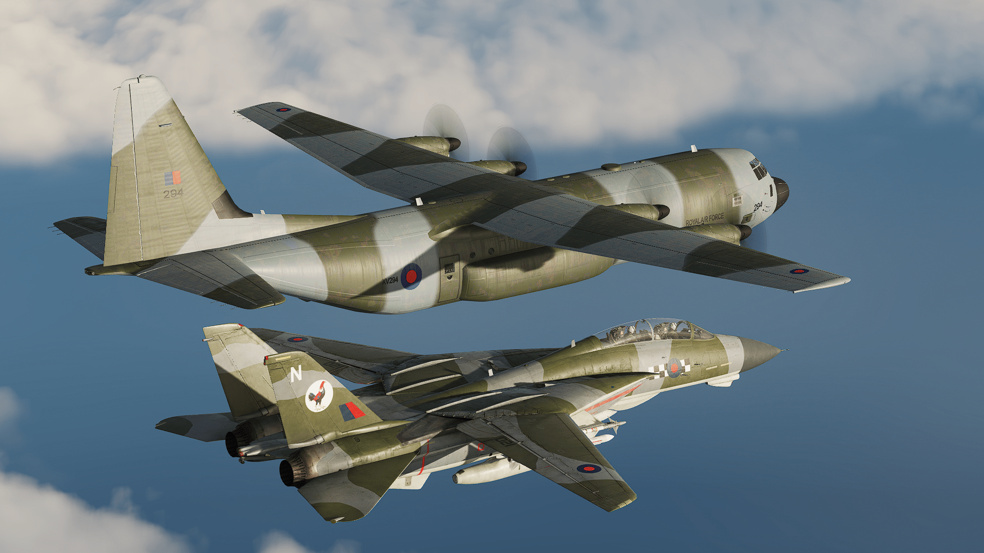 Royal Air Force Tomcat FGR.2 (F-14M) 1980s No 43 Sqn Camo