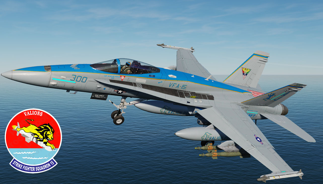 VFA-15 Valions CAG 2017.