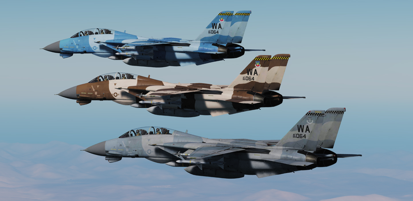 F-14B - 64th Aggressor Squadron 'Flanker'