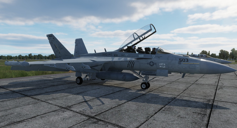 VAQ-142 "Gray Wolves" EA-18G Skin 2024