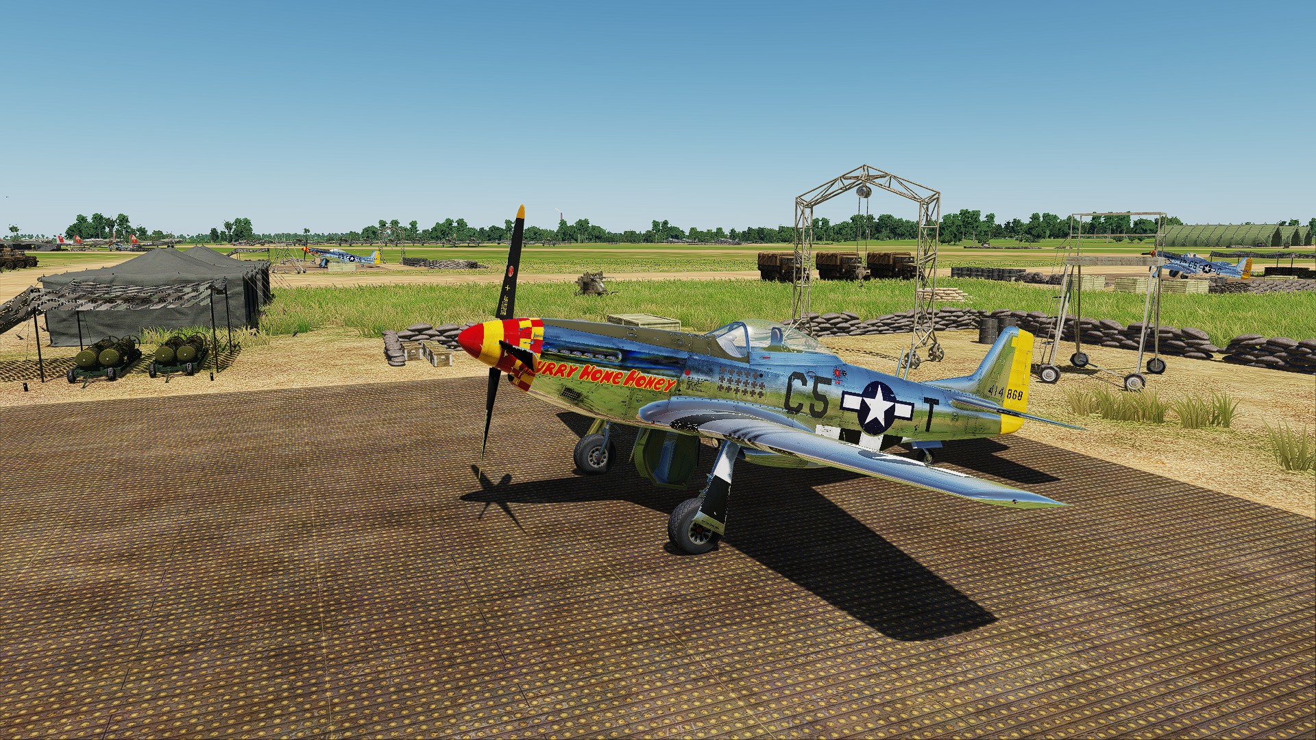 P-51D 364th FS 357th FG Hurry Home Honey