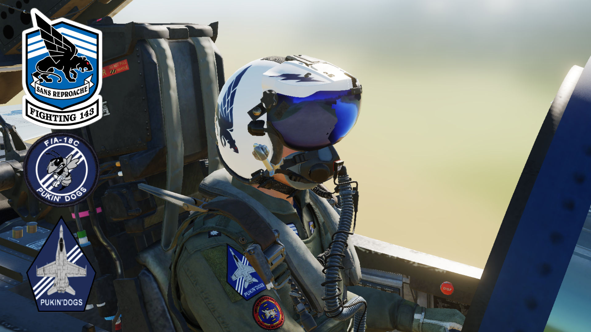 VFA 143 World Famous Pukin Dogs Helmet