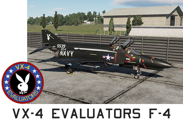 VX-4 "The Evaluators" Black Bunny F-4 Phantom