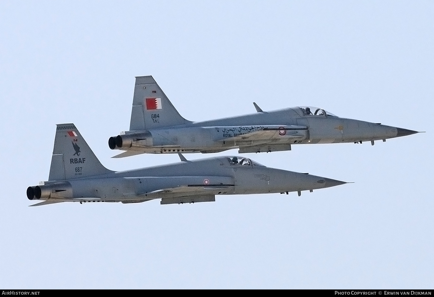 Royal Bahraini Air Force F-5E
