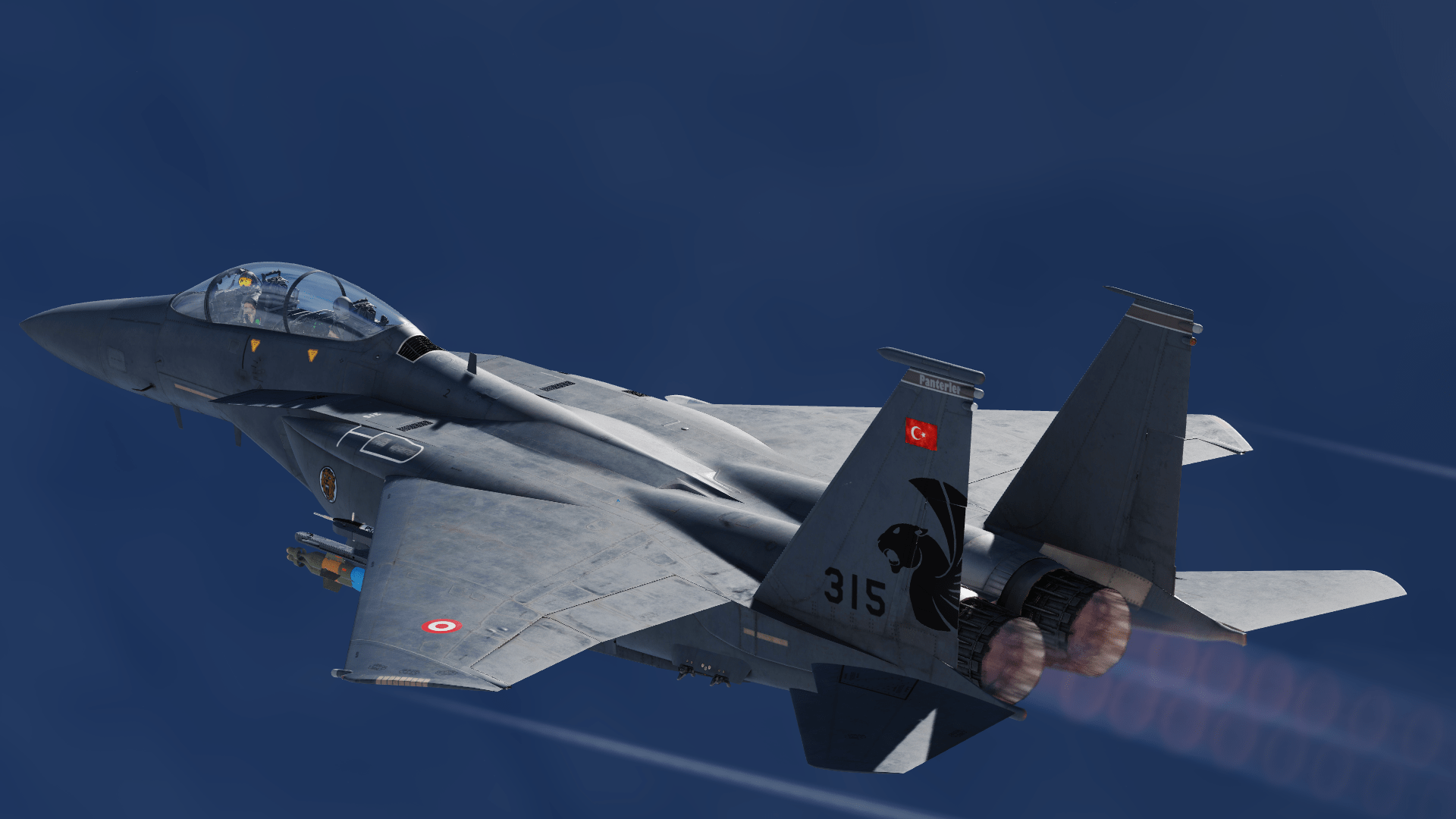 F-15E TurAF 111th Panterler (Panthers)