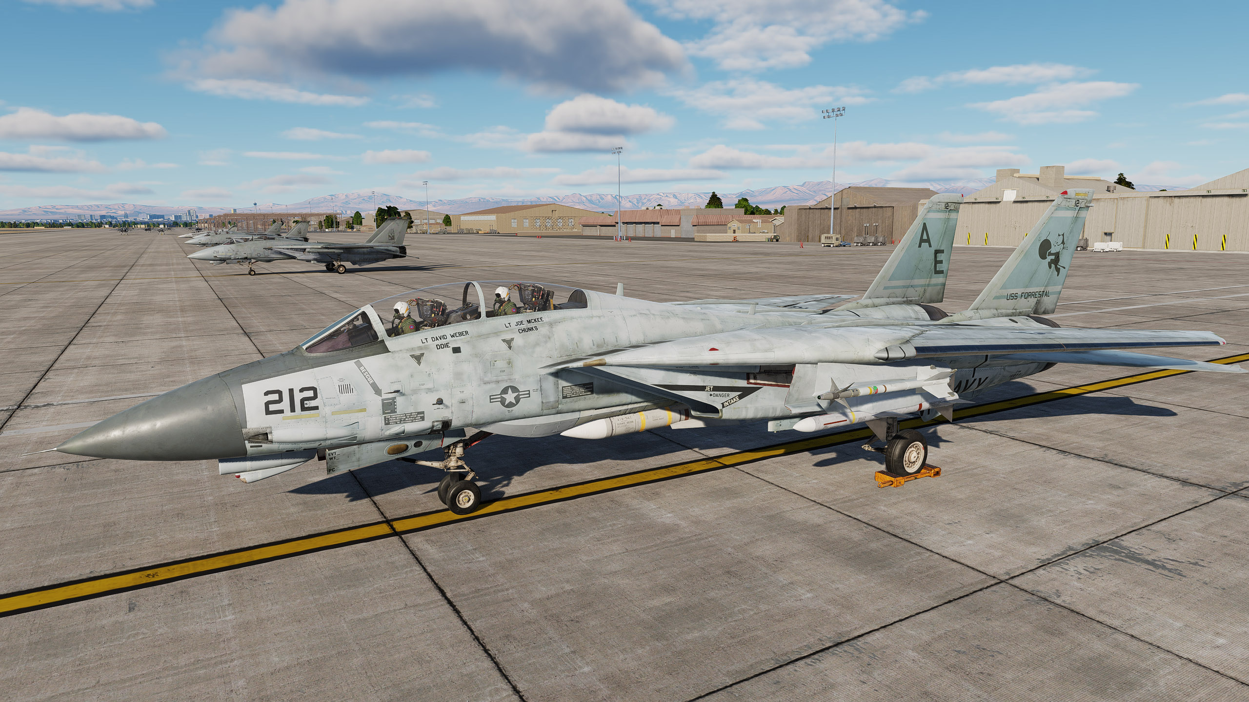 F-14A VF-31 LowViz AE212 BuN160381 1991