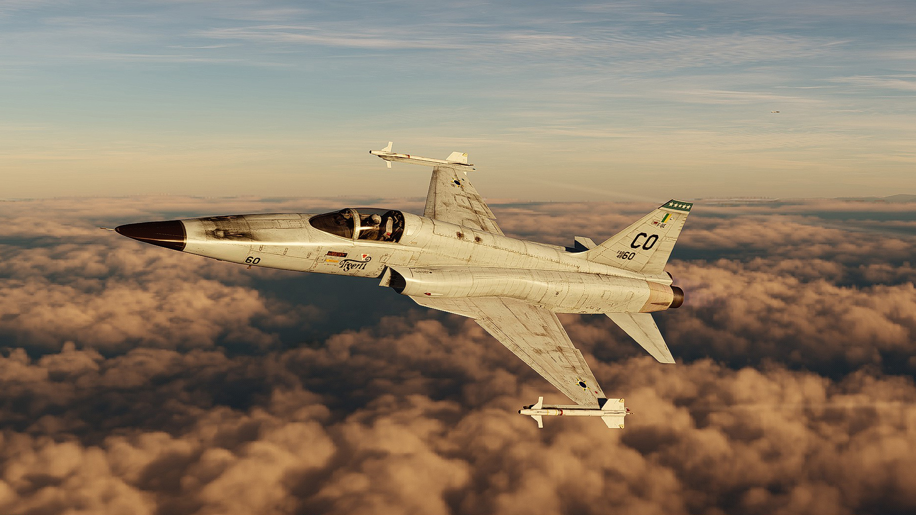 F-5E remastered repaint FAB 4860 (1990 - 1991)