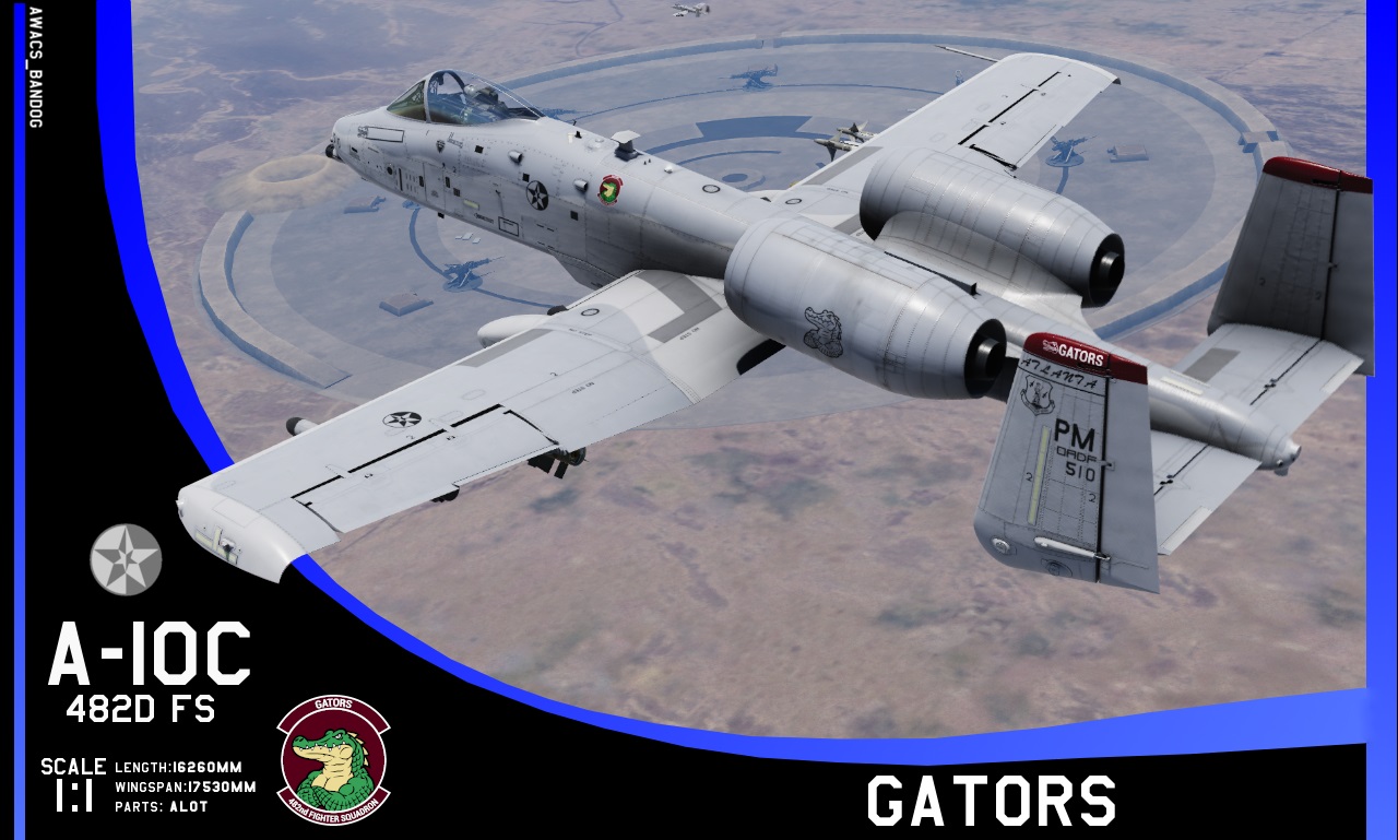 Ace Combat - 482nd Fighter Squadron 'Gators' Atlanta Air National Guard A-10C