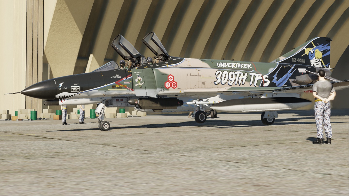 Janosian Air Self Defense Force 309th TFS ‘Undertakers’ F-4EJ