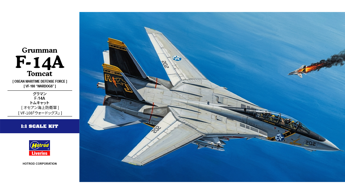 F-14A Tomcat - Ace Combat - Osean Maritime Defense Force (OMDF) - VF ...