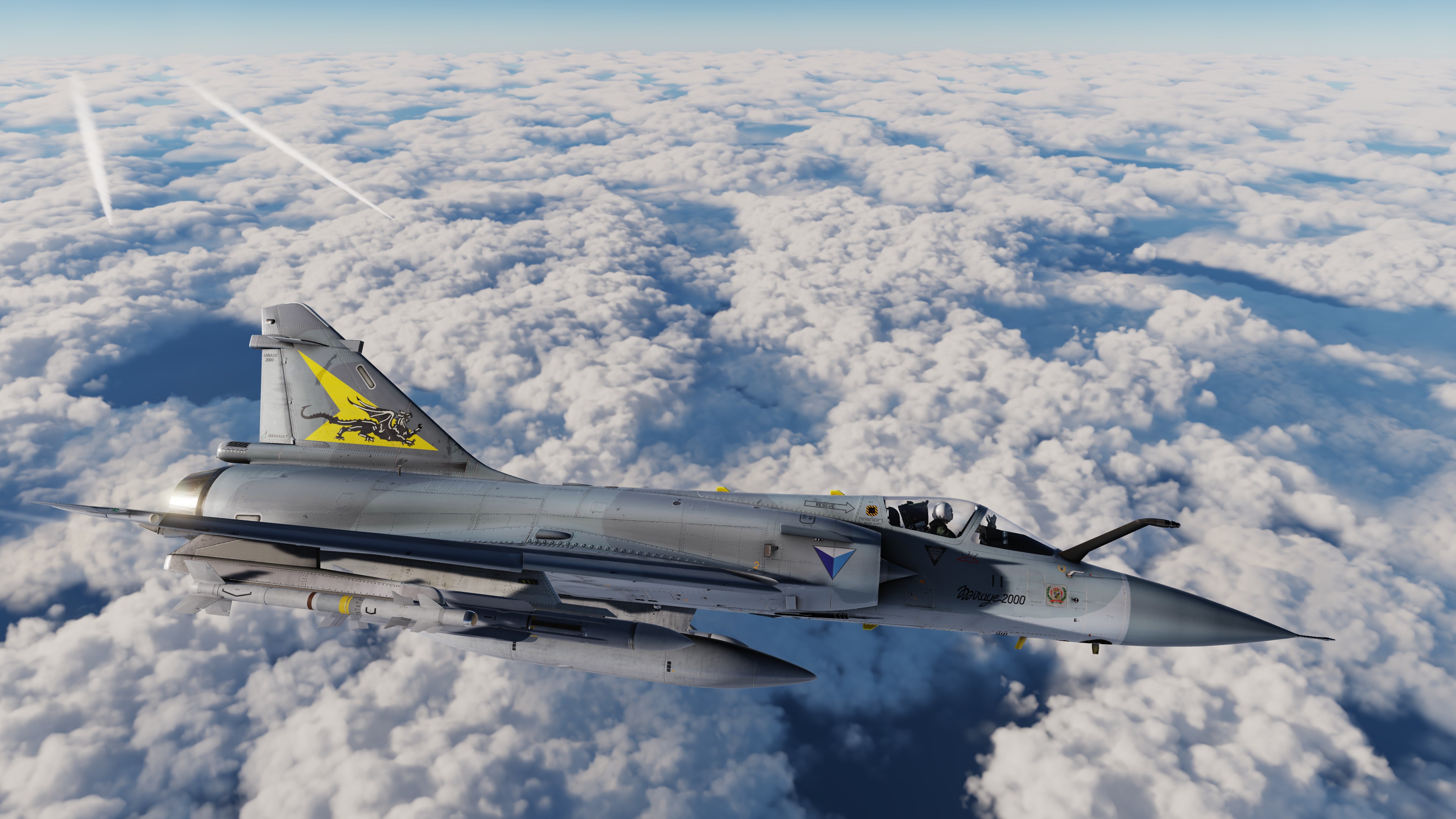 ACE COMBAT - M2000C - Nordennavic Royal Air Force - Sqn "Cote d'Or" V1.1