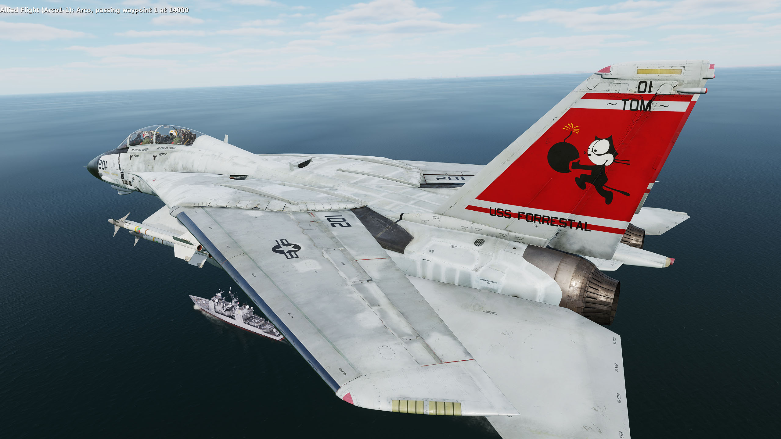 F-14A 160923 AE-201 of VF-31 'Tomcatters' from USS Forrestal 1991