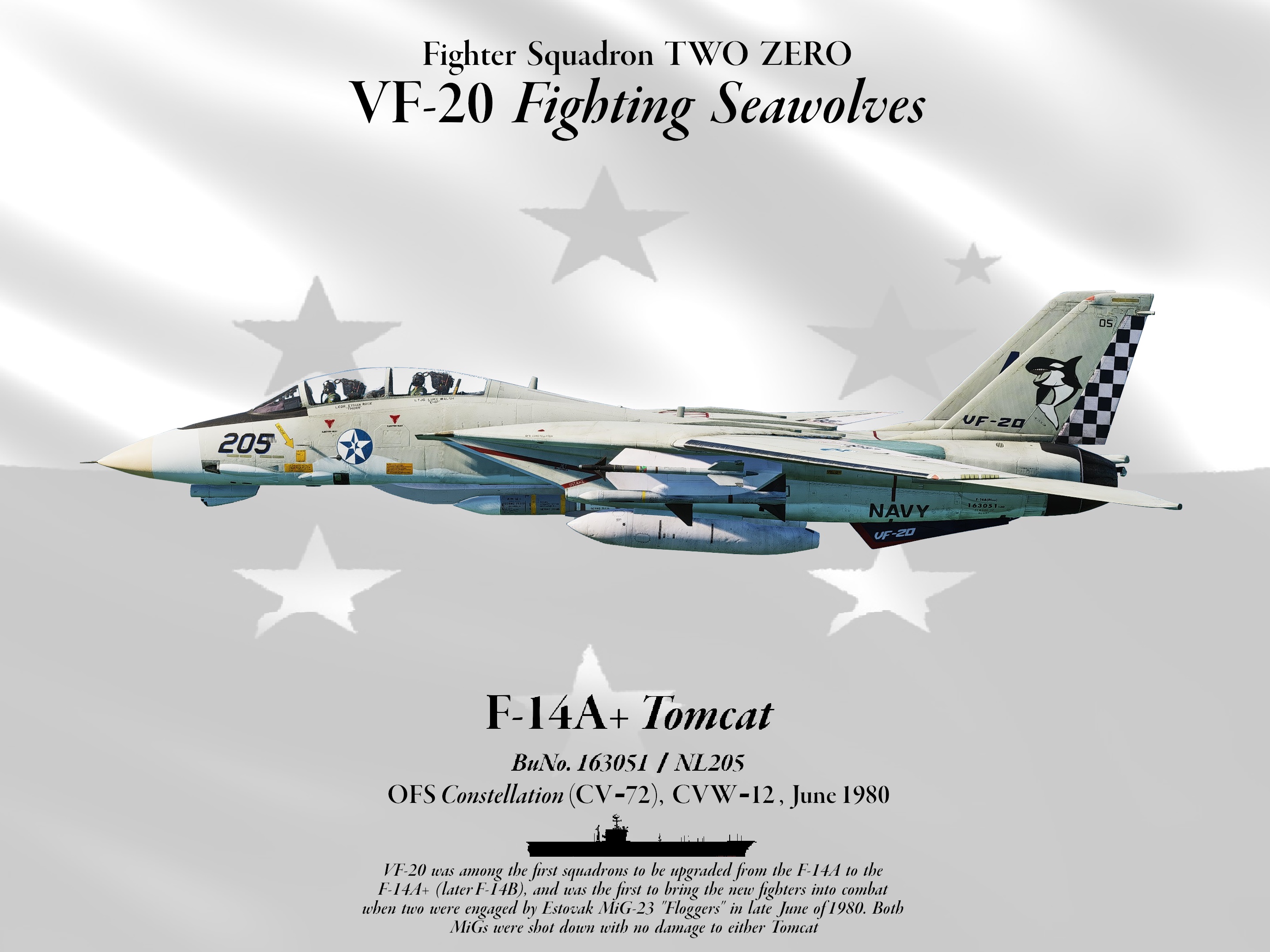 Ace Combat | VF-20 "Fighting Seawolves" - 1981