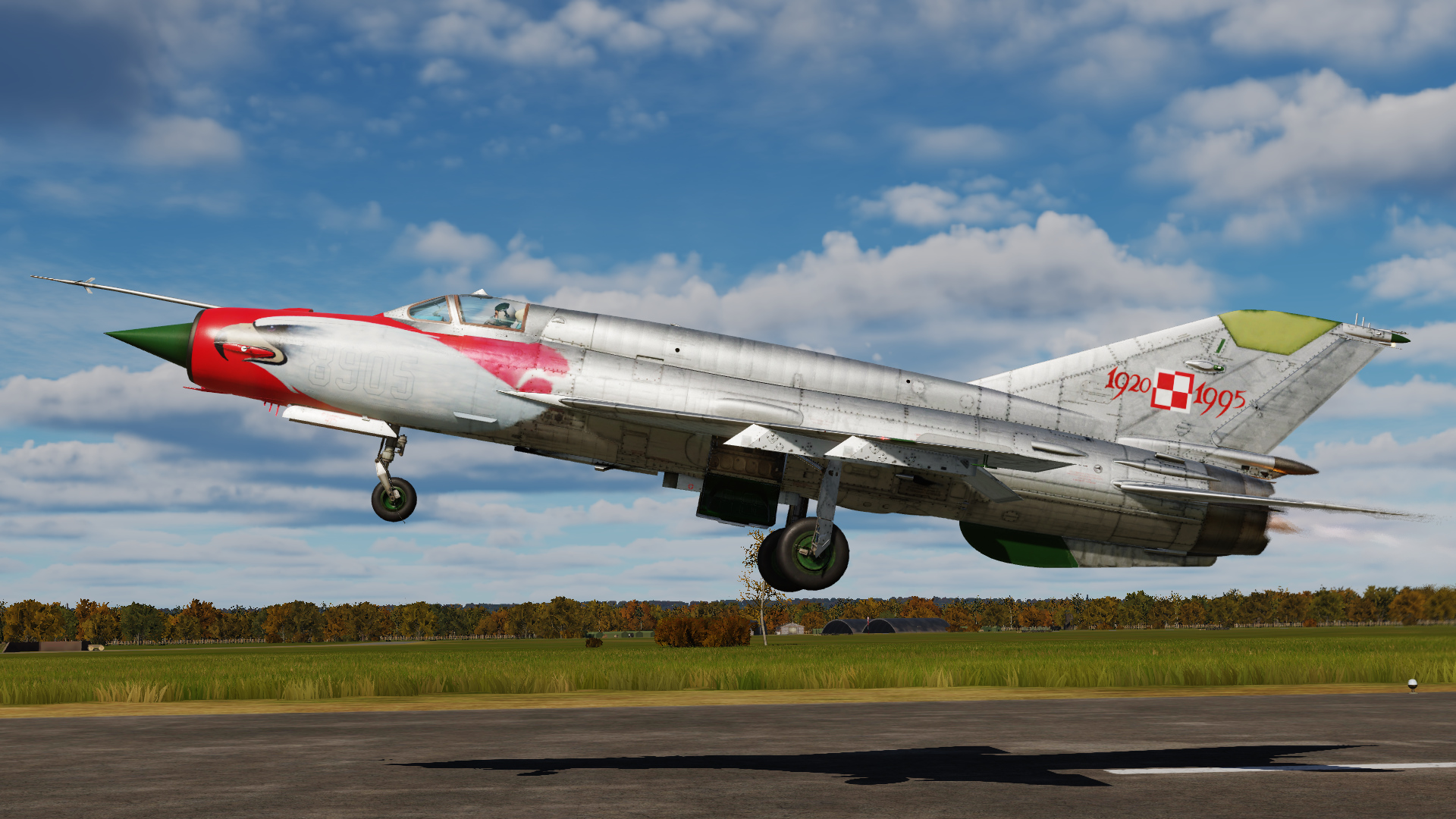 MiG-21bis '8905' Polish Air Force
