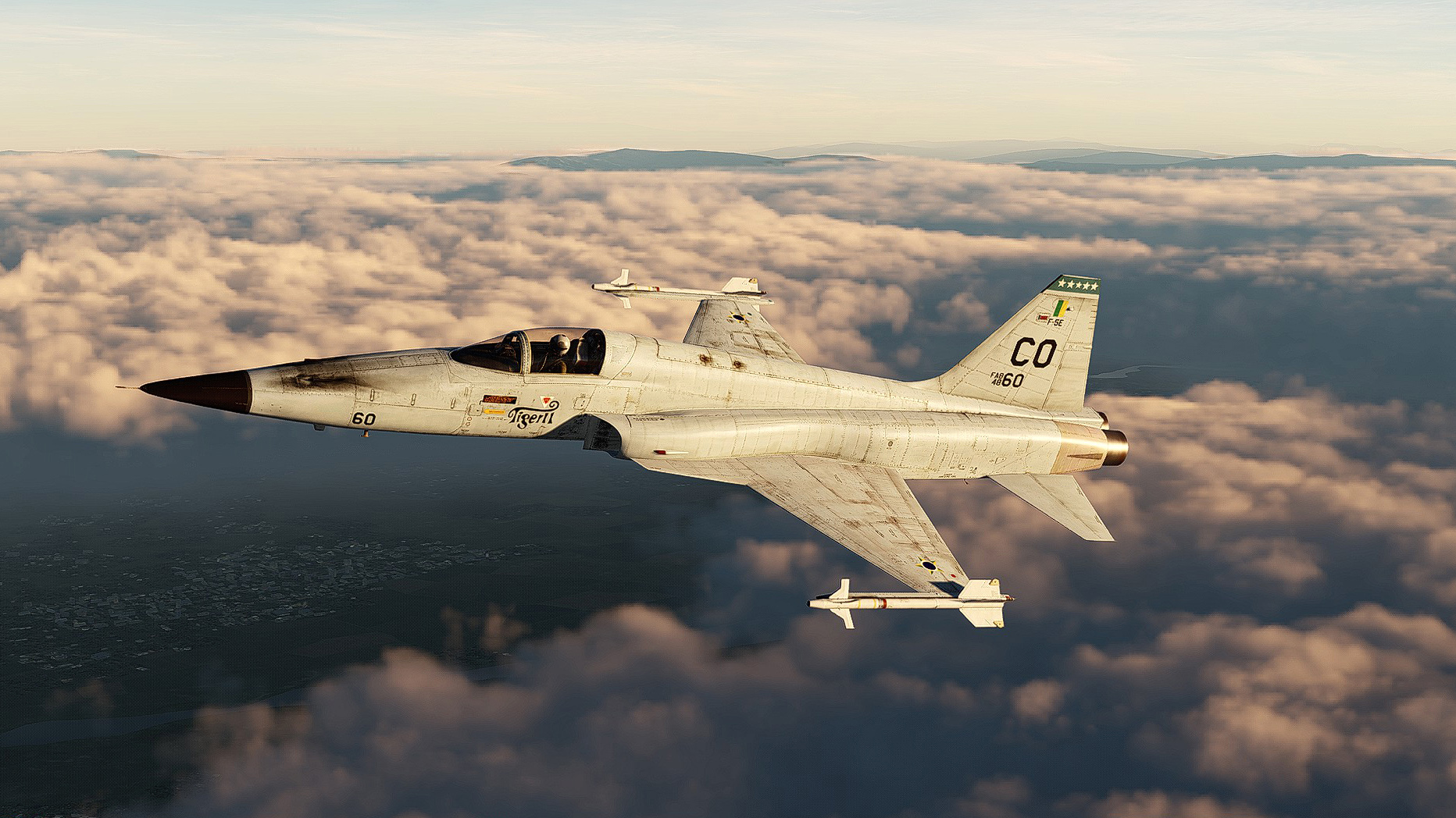 F-5E remastered repaint FAB 4860 (1990 - 1991)