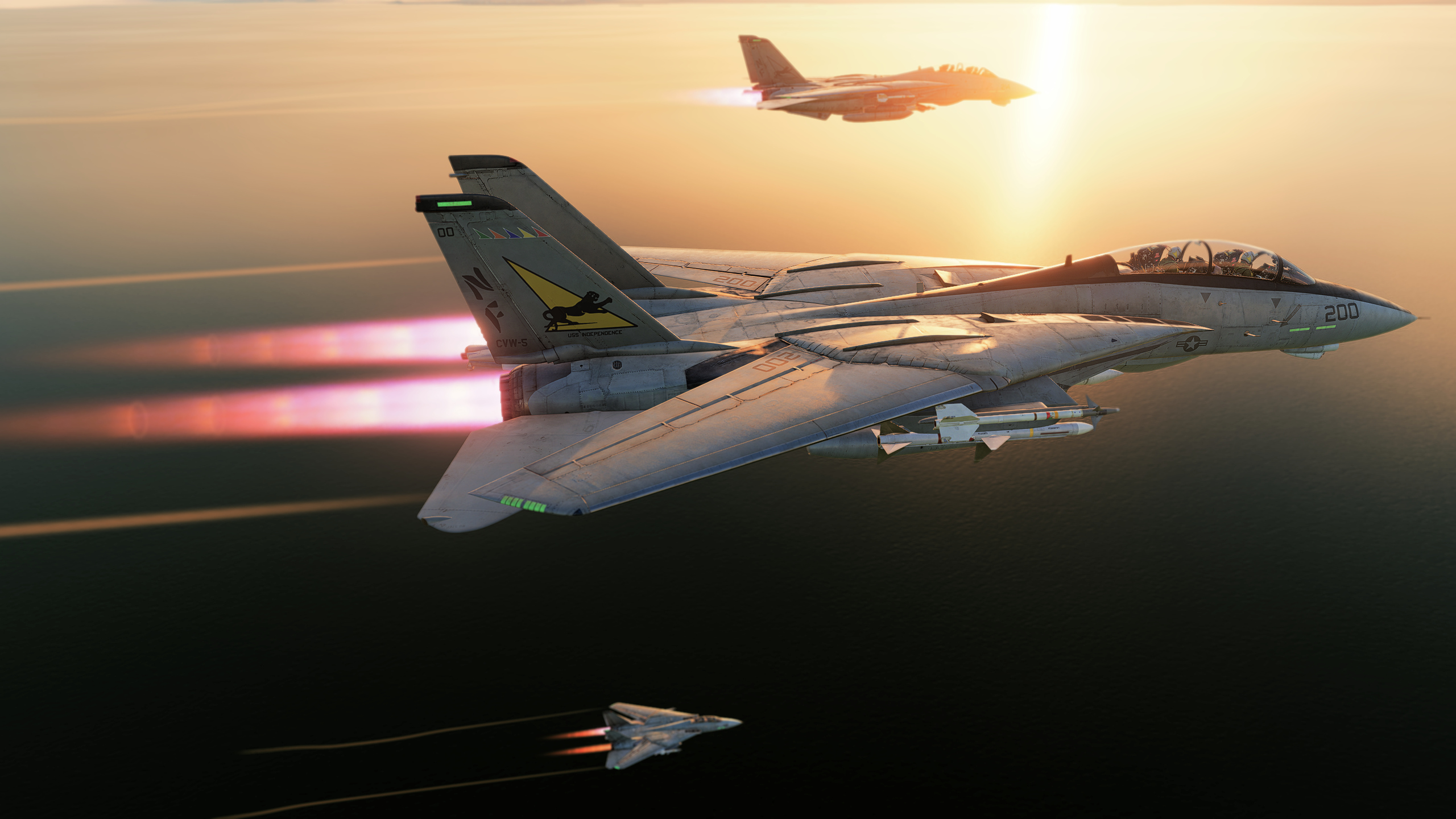 F-14A - VF-21 Freelancers CAG NF200 1993