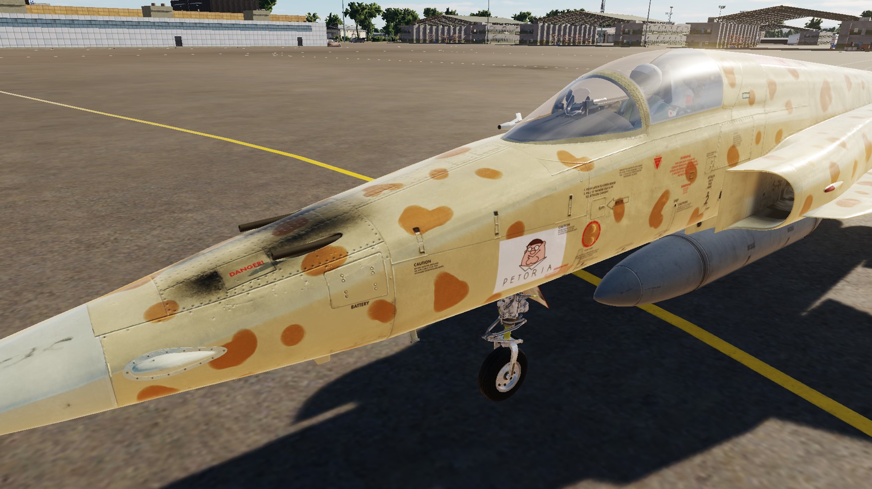 F-5 Petorian BDS - Basic Desert Spots