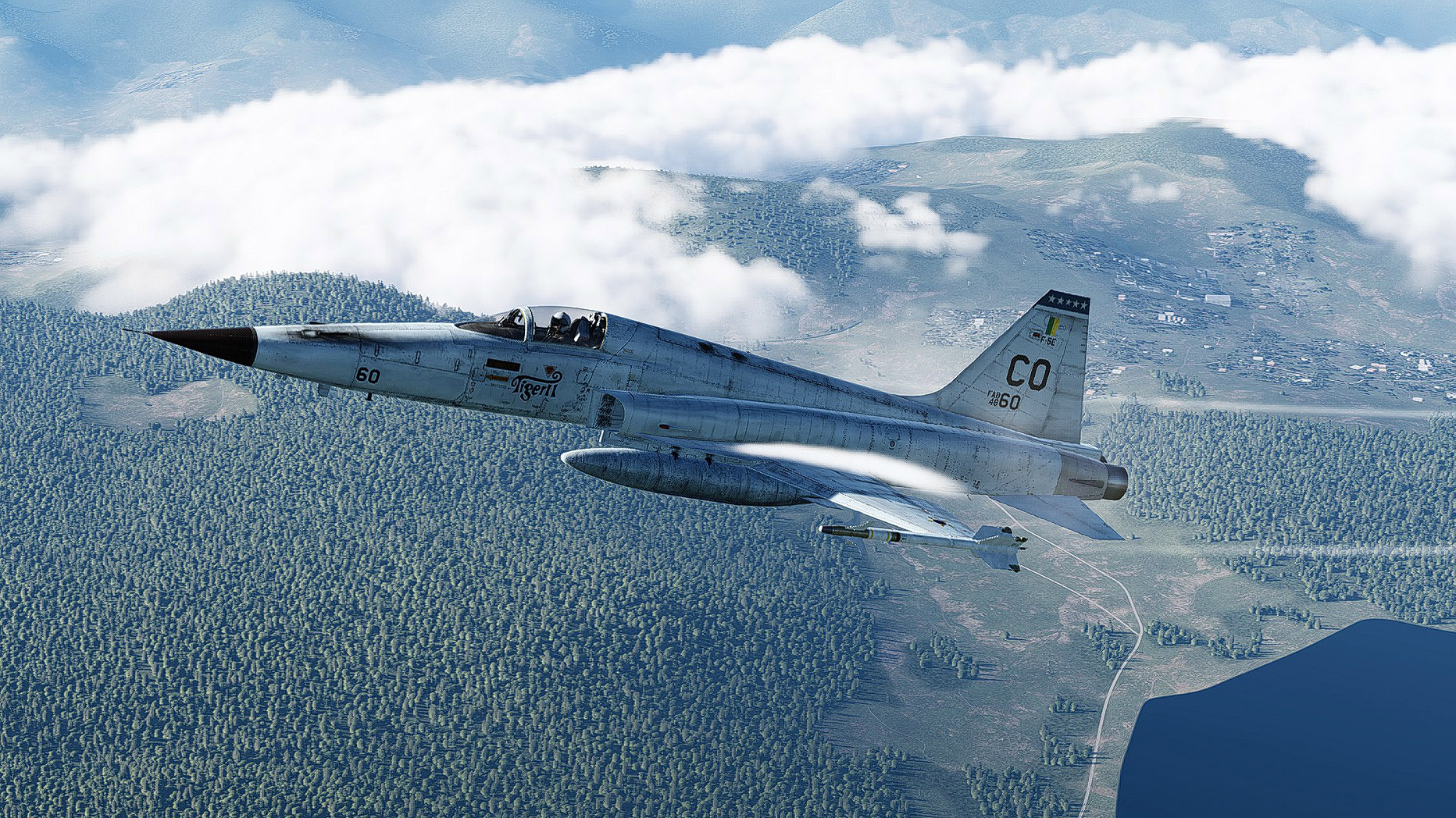 F-5E remastered repaint FAB 4860 (1990 - 1991)