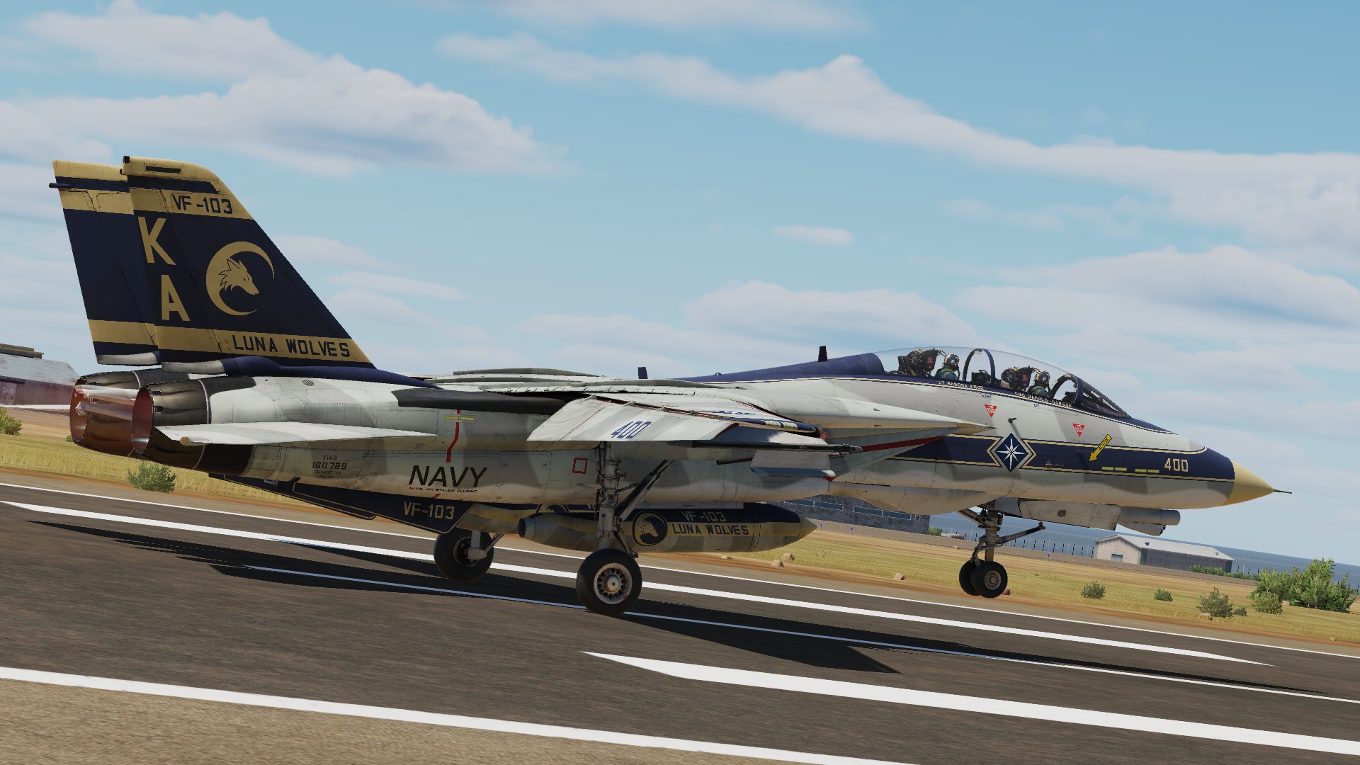 Republic of Emmeria Navy, F-14B Tomcat, Ace Combat 6, (VF-103 Luna Wolves)