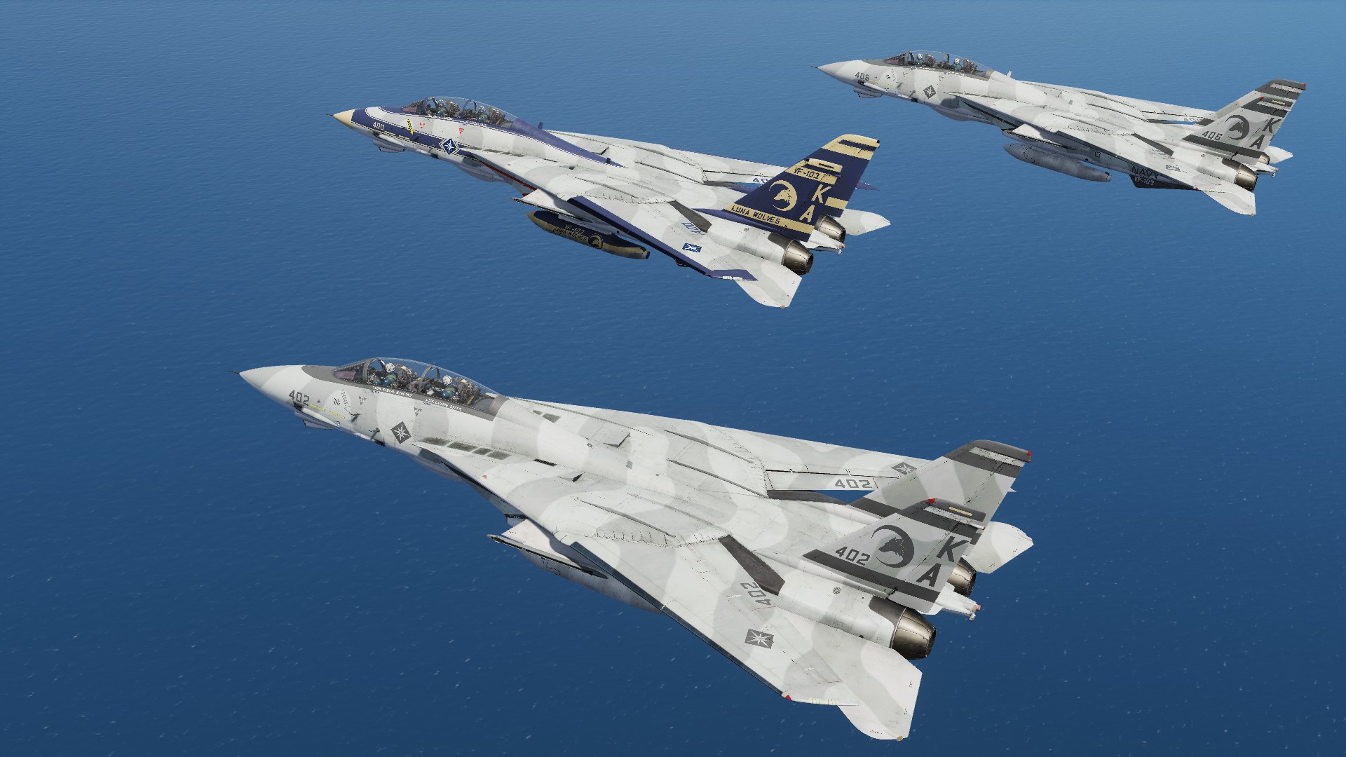 Republic of Emmeria Navy, F-14B Tomcat, Ace Combat 6, (VF-103 Luna Wolves)
