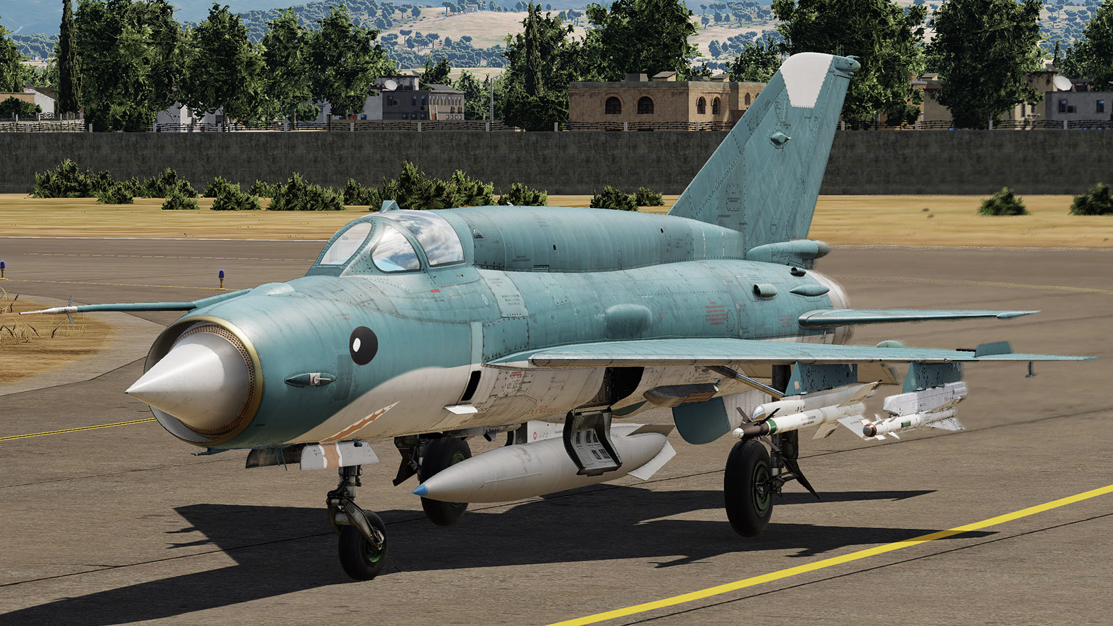 MiG-21 Blahaj / SkyShark (Blue/Pink)